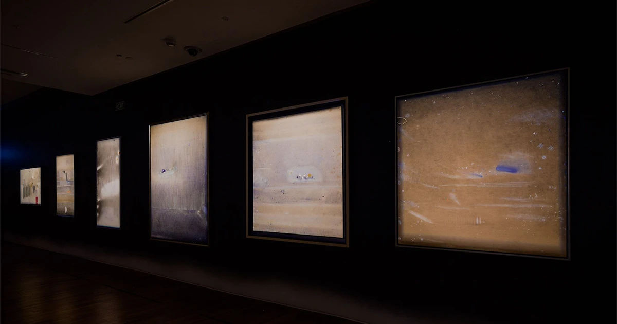 Lin Hsin Hsin @ speed of thought | National Gallery Singapore